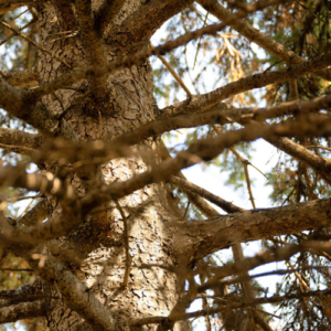 Sciences Library - University of Iowa Libraries